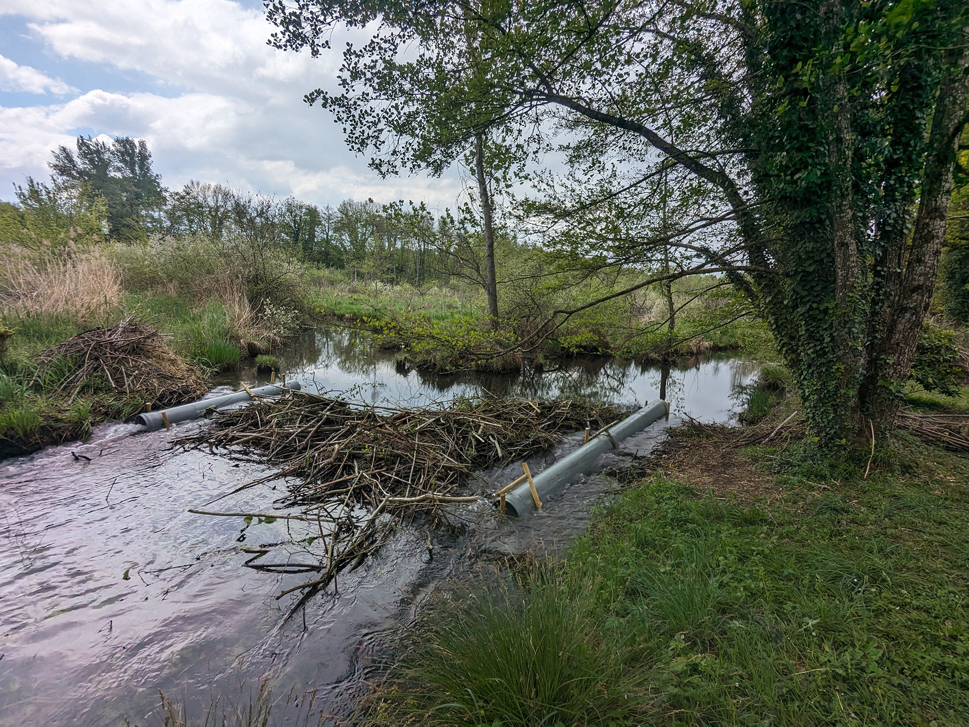 Protéger l’environnement et la biodiversité - Balcons du Dauphiné